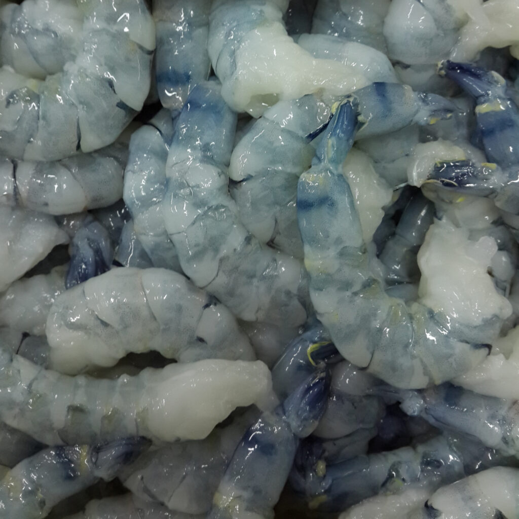 Black Tiger shrimp PUD – RAINBOW | seafood supplier